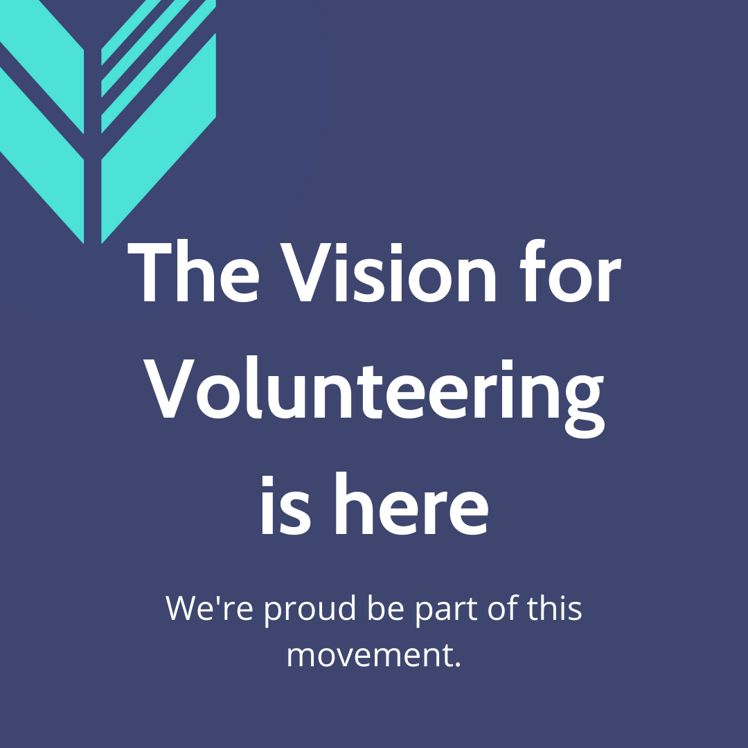 The Vision for Volunteering launches today - Volunteer Link Up