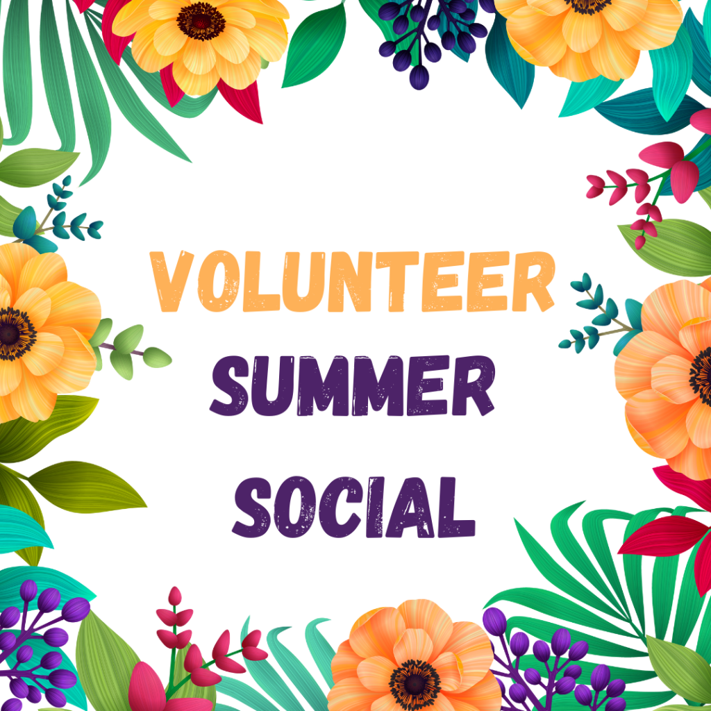 VLU to celebrate their volunteers at Summer Social - Volunteer Link Up